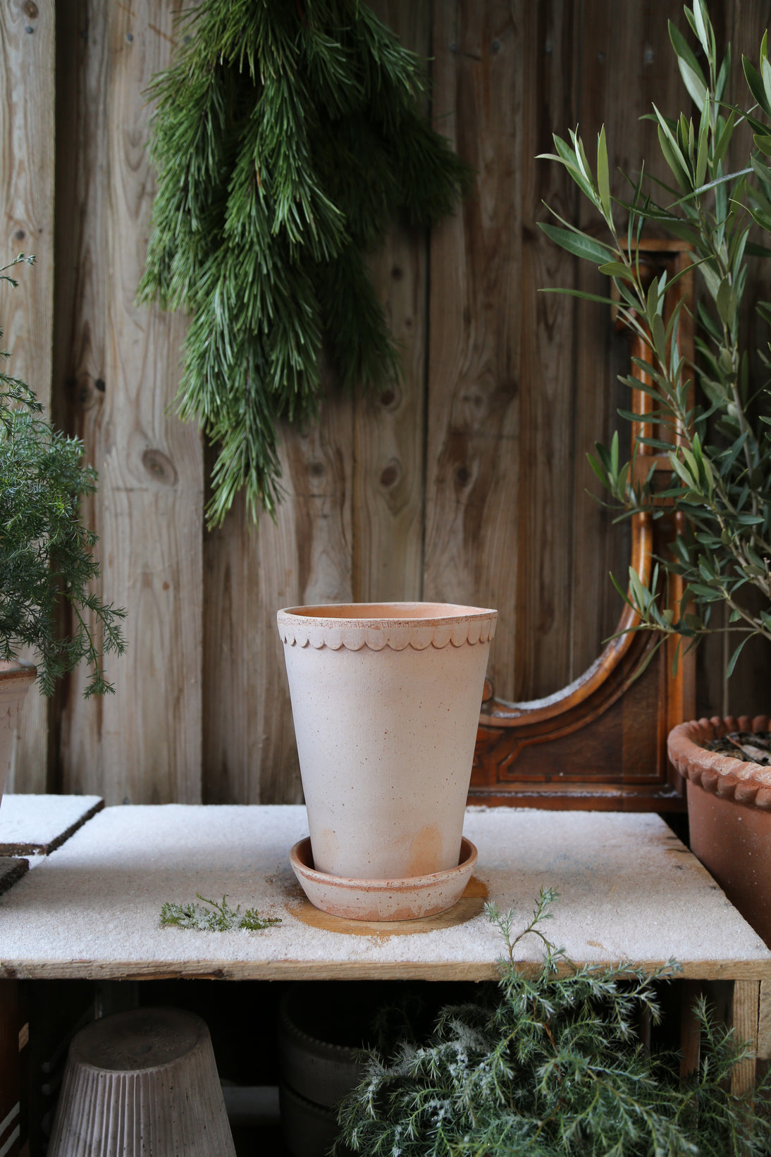Helena Pot | Plant Society Toronto