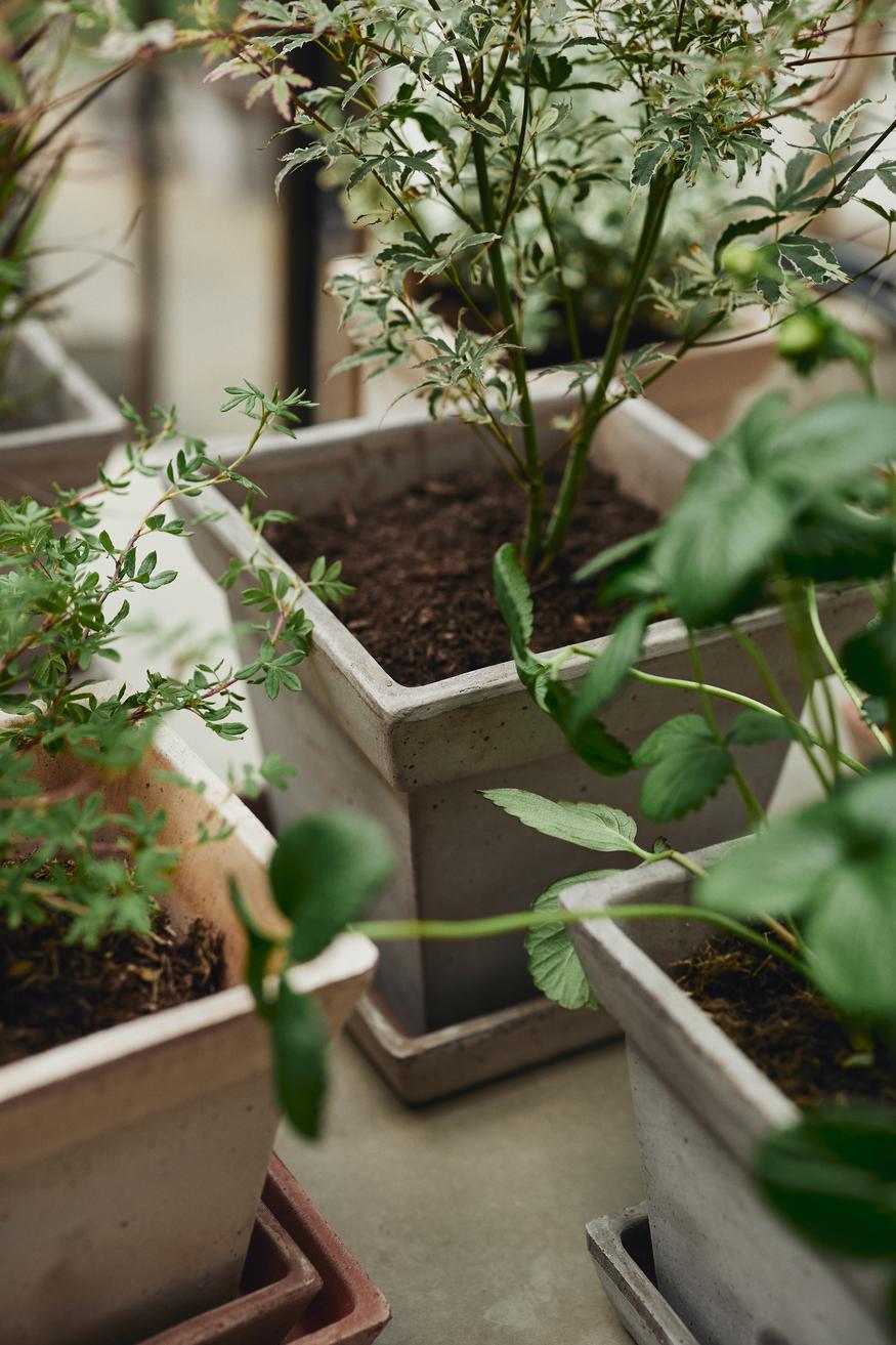 Gaia Pot | Plant Society Toronto