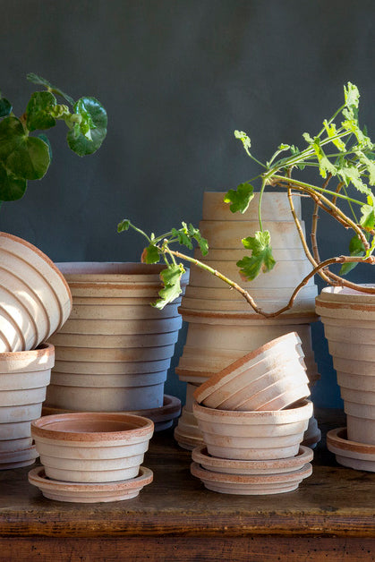 Mars Pot | Plant Society Toronto