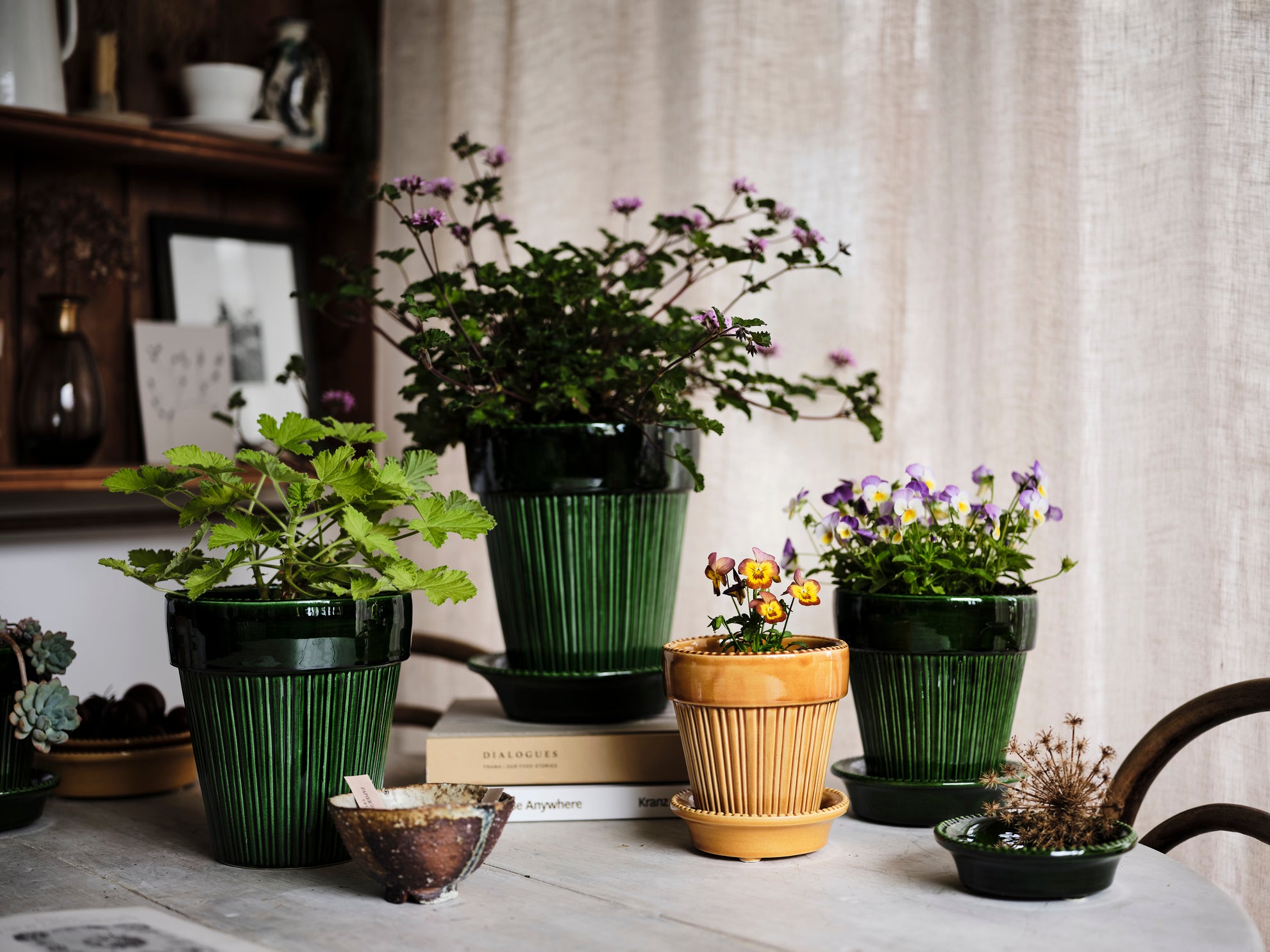 Simona Pot, Glazed | Plant Society Toronto