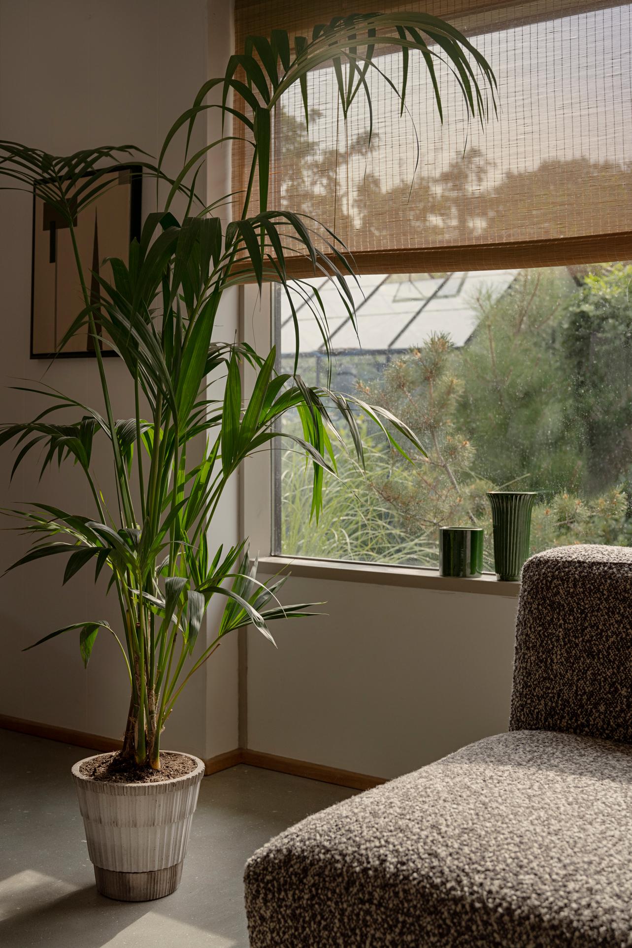 Atlas Pot | Plant Society Toronto