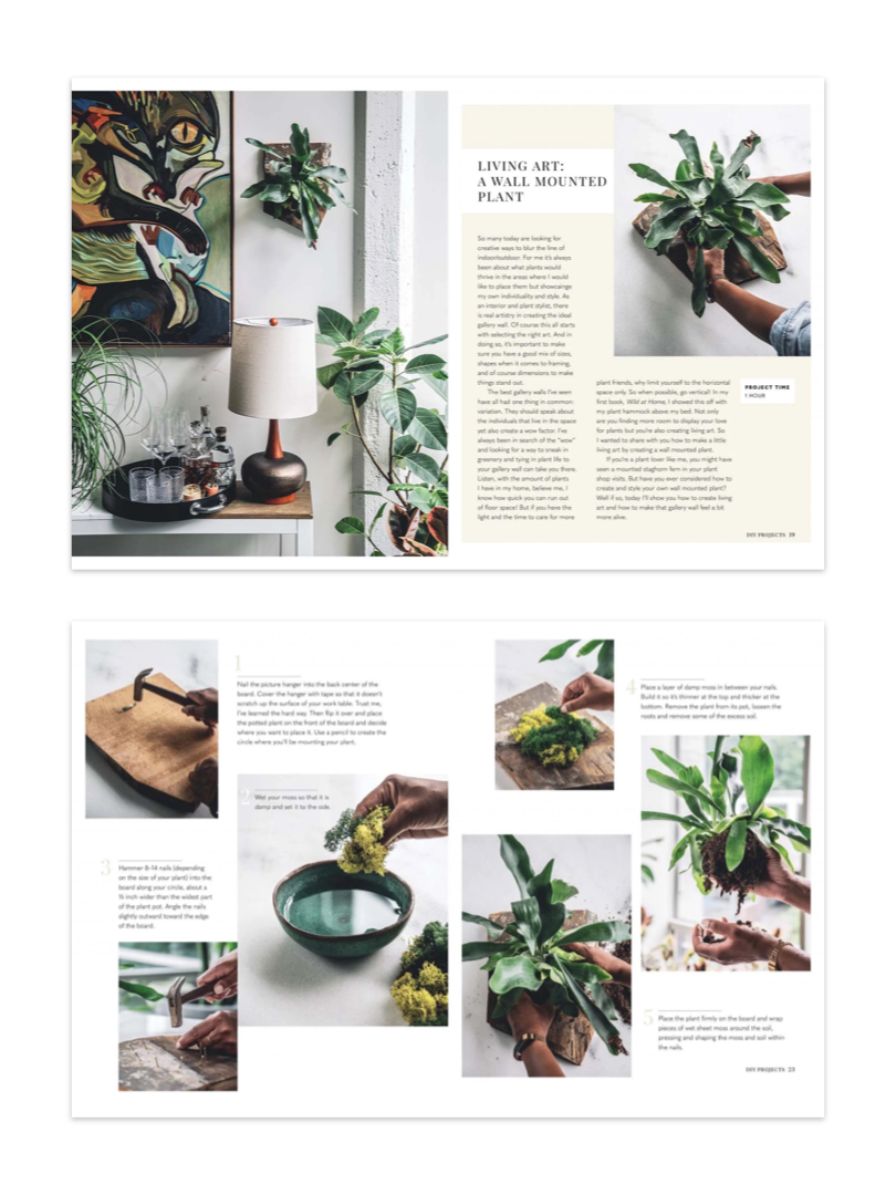Wild Creations Book – Plant Society Toronto