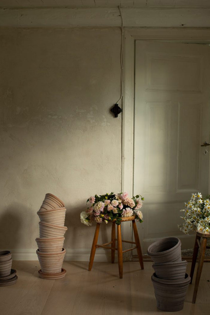 Jupiter Pot | Plant Society Toronto