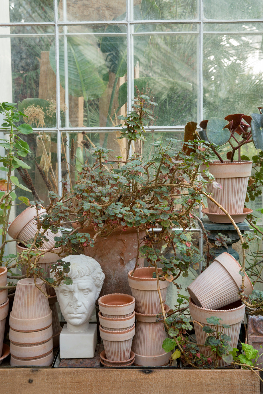 Simona Pot | Plant Society Toronto