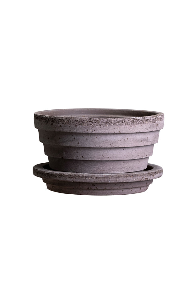 Mars Pot | Plant Society Toronto