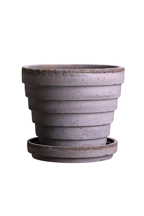 Venus Pot | Plant Society Toronto
